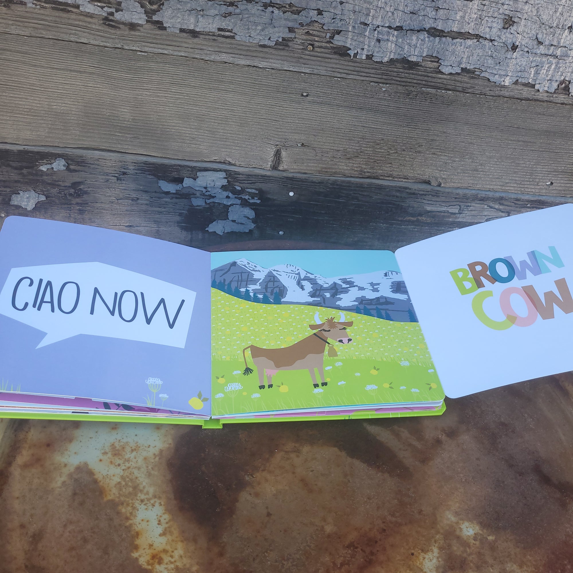 Gotta Go Buffalo Book - Allgood Custom Leather